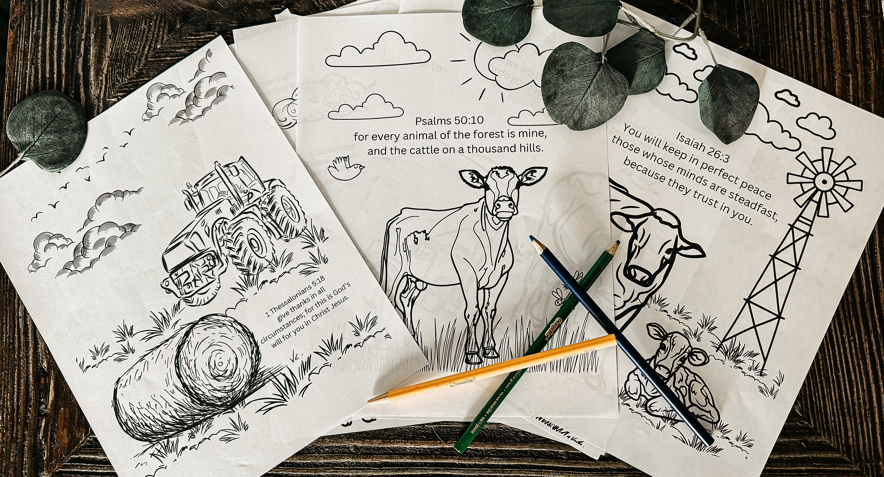 Ranch Life Coloring Pages - Etsy
