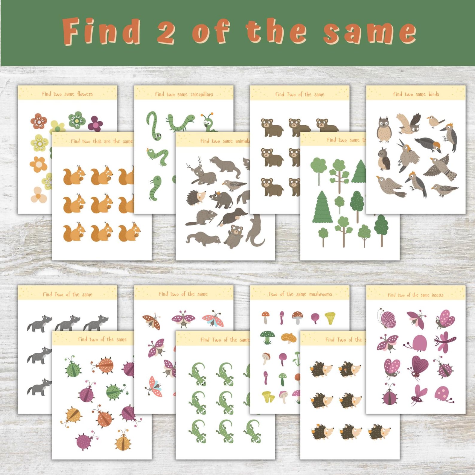 Forest Animals Games and Activities Printables,fun Woodland Animals ...