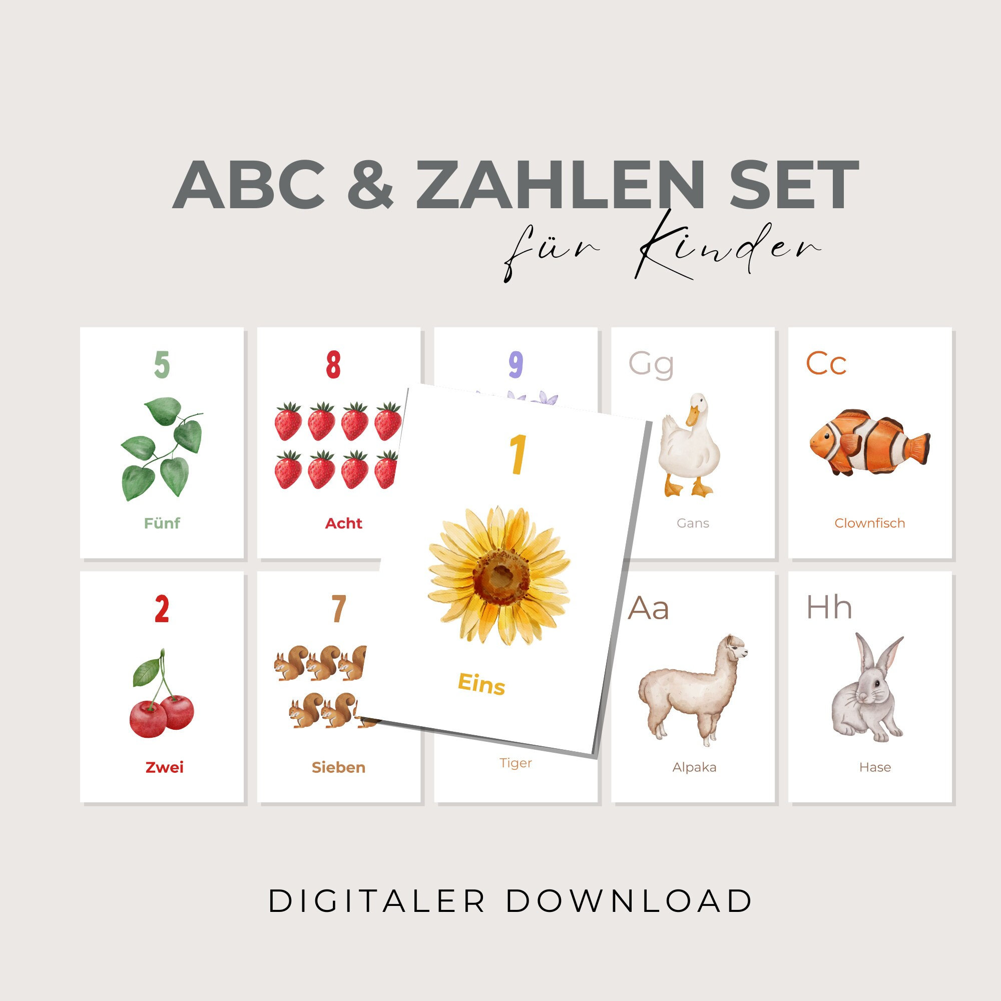 Alphabet Cards Number Cards for Learning Arouse Interest in - Etsy