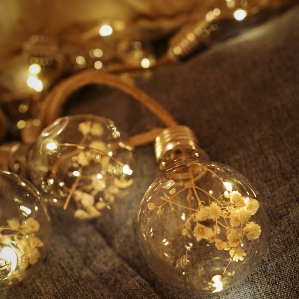 Indoor String Light - Etsy