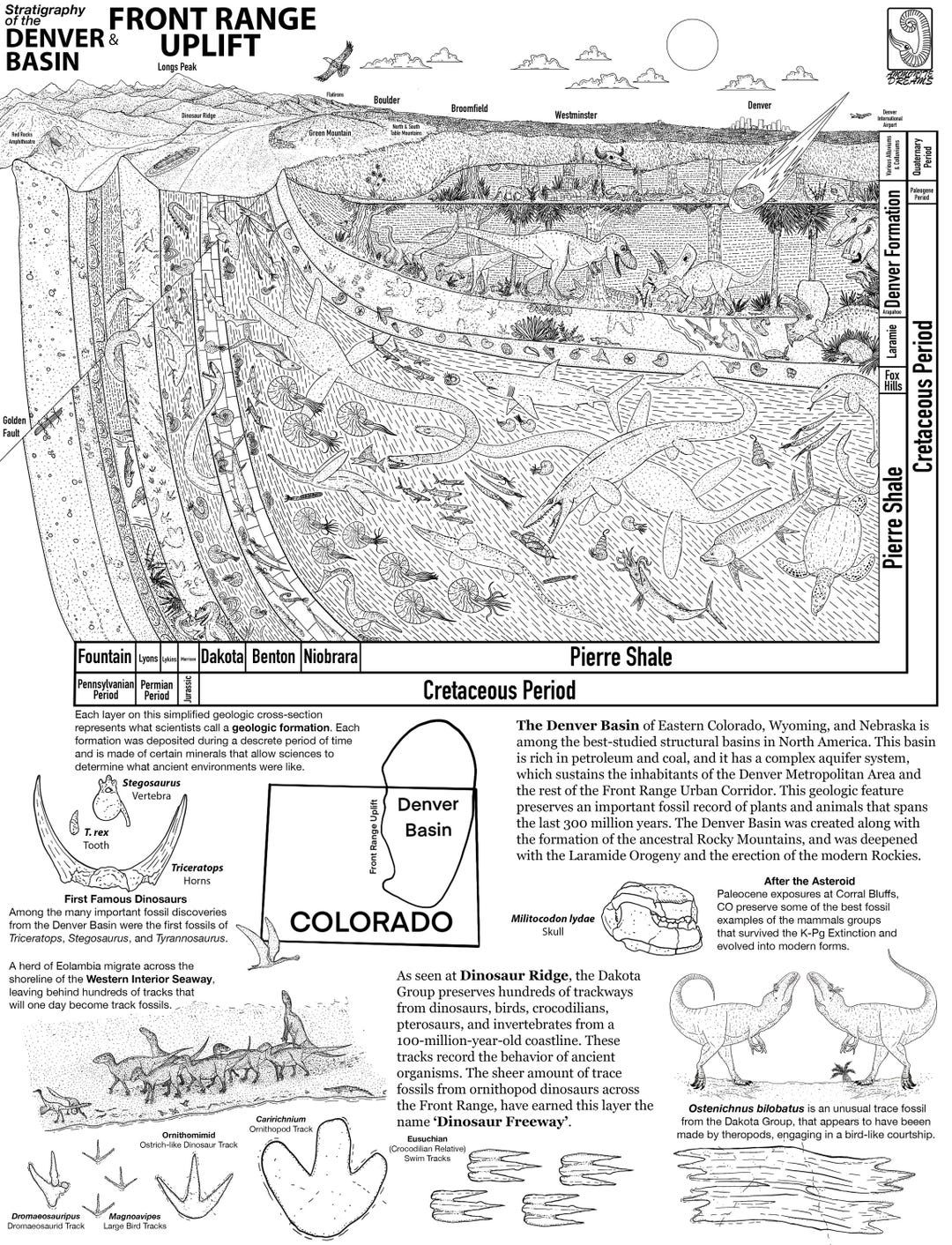 Denver Basin & Front Range Uplift Stratigraphy Poster - Etsy