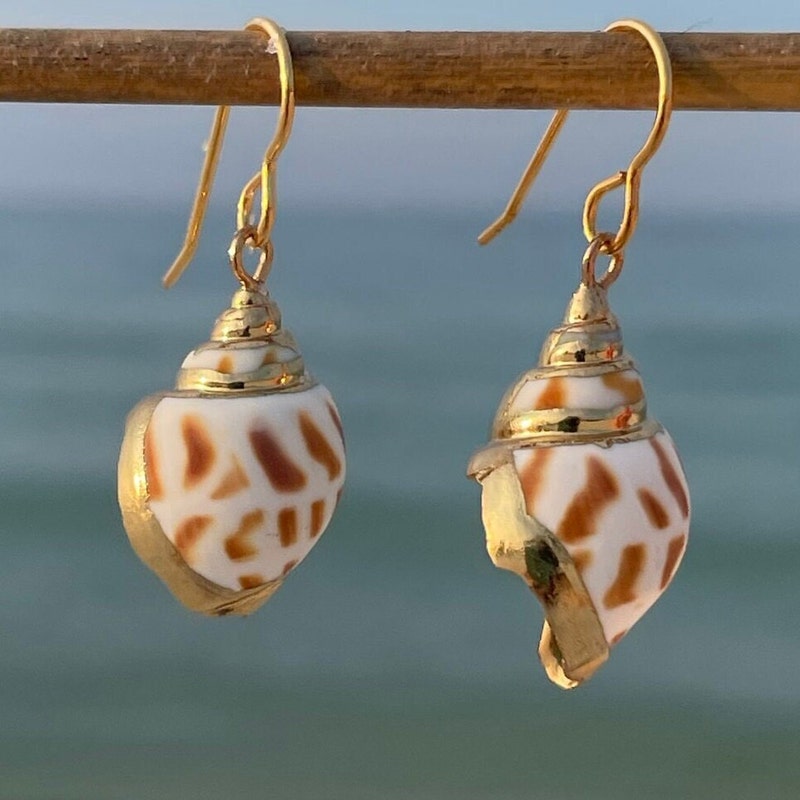 Seashell Earrings - Etsy