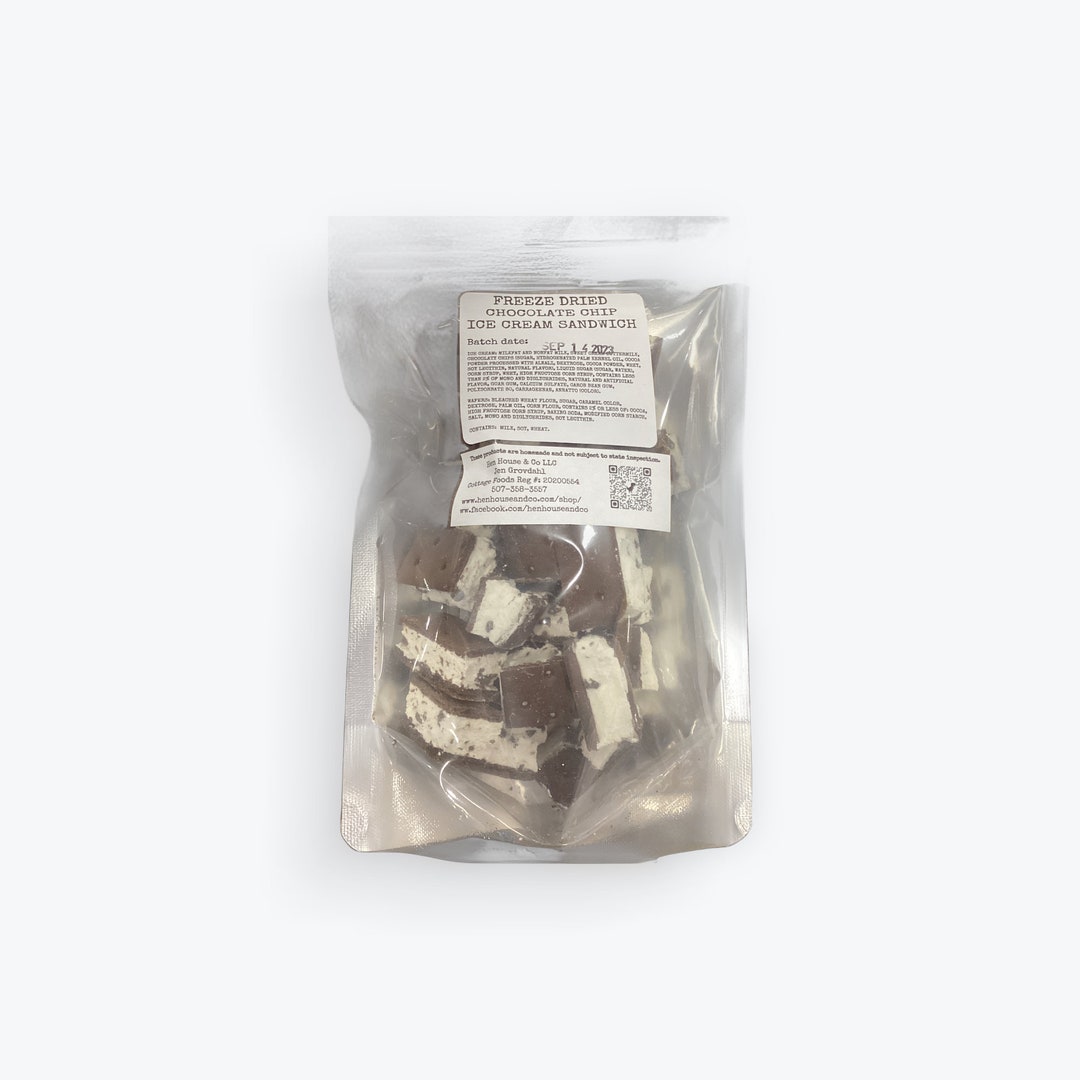 Freeze Dried Chocolate Chip Ice Cream Sandwich - Etsy