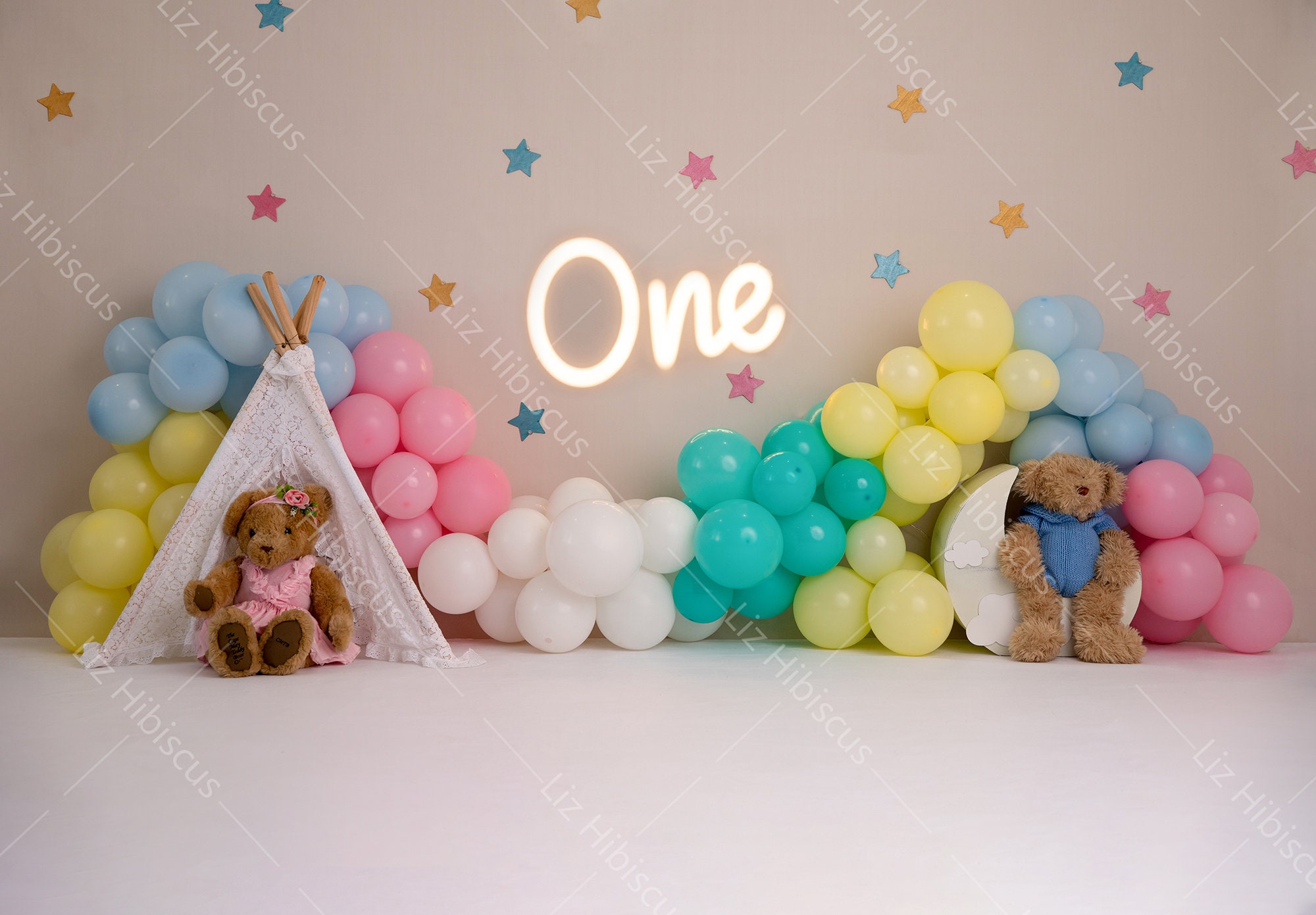 Birthday, Digital Backdrop, Twins First Birthday, Boy, Girl, Moon ...