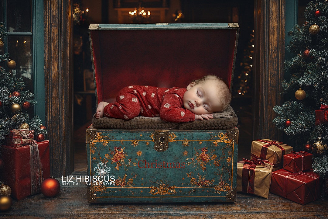 Christmas Box, Toy Box, Blue Box, Christmas Gifts, Newborn Digital ...