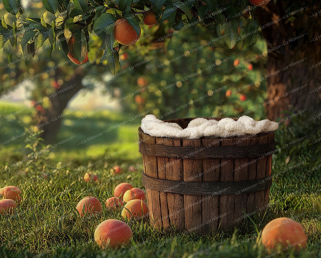 Peach, Peach Trees, Peach Field, Bucket, Boy, Girl, Newborn Digital ...