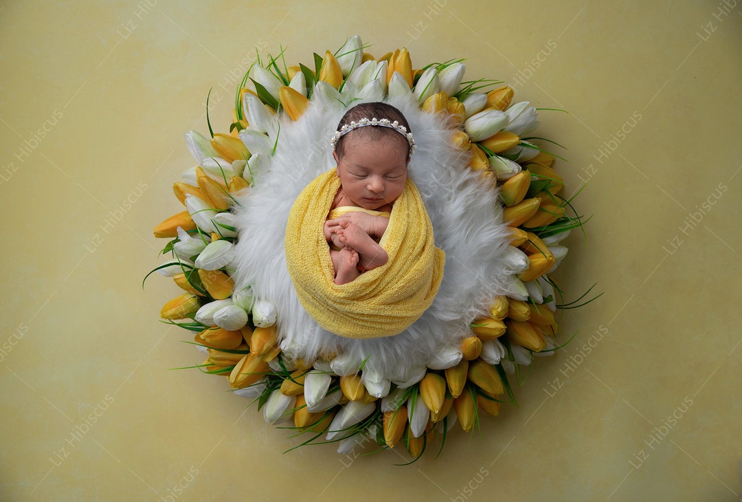 Newborn Digital Backdrop, Newborn Digital Background, Photography Prop ...