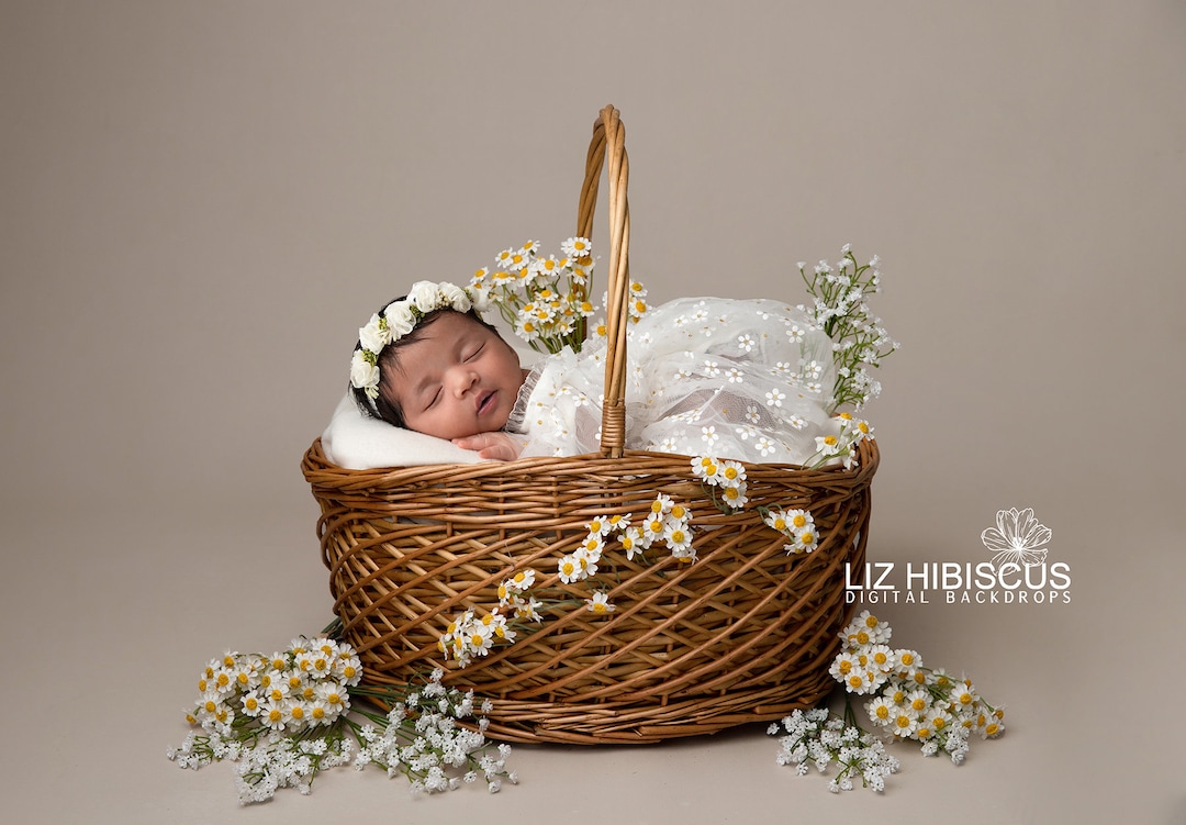 Flowers, Daisies, Wild Flowers, Basket, Newborn Digital Backdrop ...