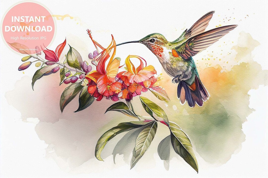 Hummingbird Watercolor | Stunning Printable Wall Art - Etsy
