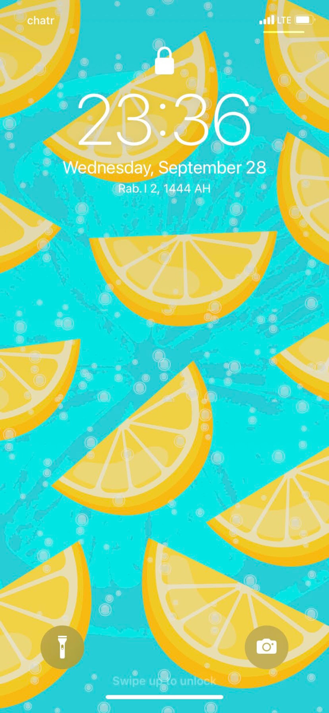 Fresh Lemon Summer Wallpaper - Etsy