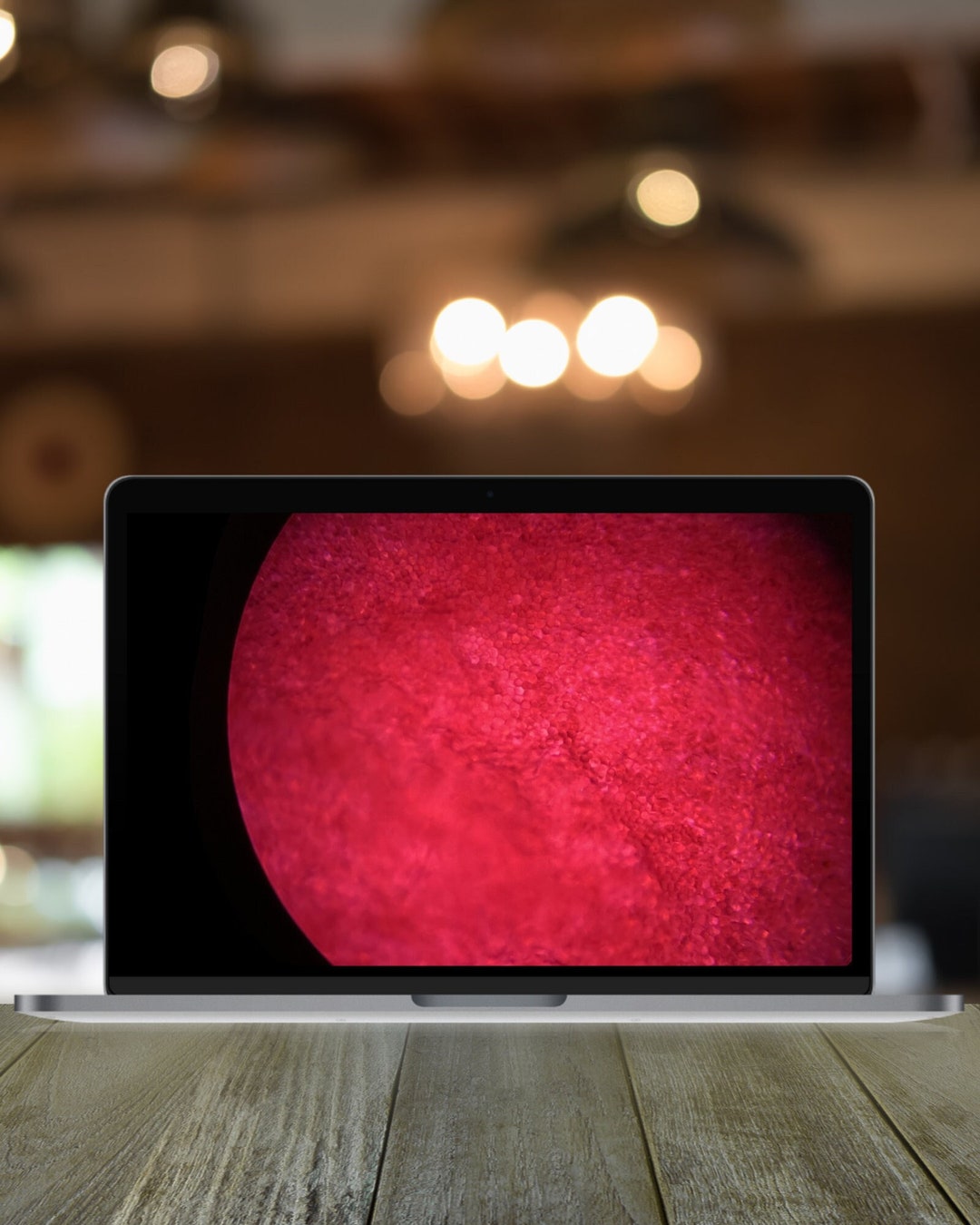 Red Rose Microscopic Photo Digital - Etsy