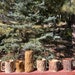 Tree Bark Mugs With Various Sizes. Handmade and Hand-carved ...