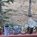 Tree Bark Mugs With Various Sizes. Handmade and Hand-carved ...