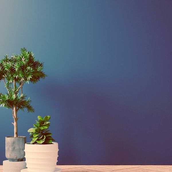 Teams Background With Plants - Etsy