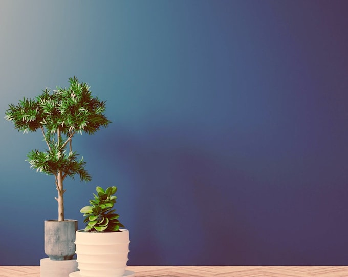 Library, Zoom Background, Microsoft Teams Background, Photo Backdrops ...