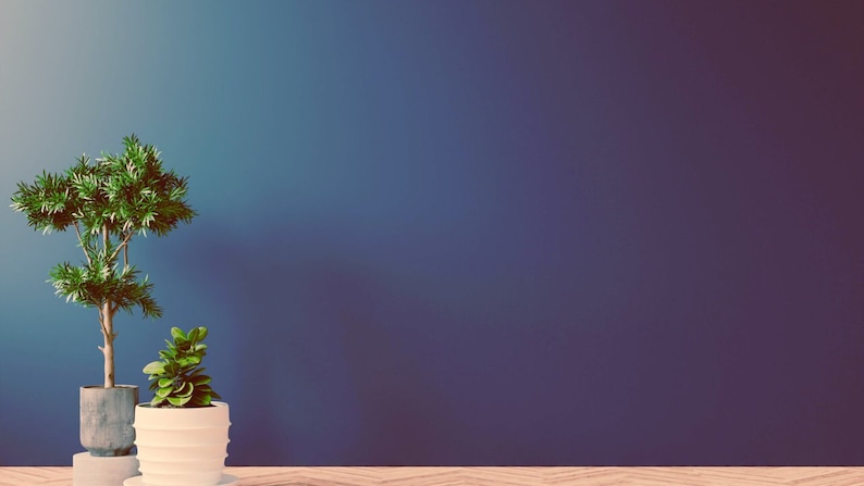 Office, Zoom Background, Microsoft Teams Background, Photo Backdrops ... Office, Zoom Background, Microsoft Teams Background, Photo Backdrops ...