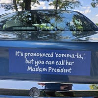 Funny Election Garden Banner, Vote Blue 2024 Outdoor Decor, Election ...