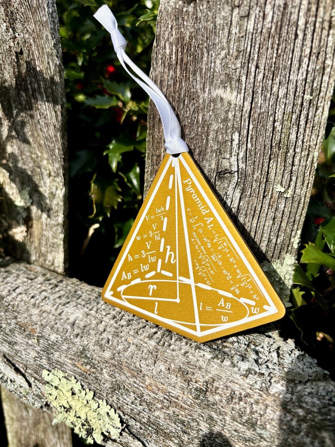 Custom Math Ornament, Personalized Teacher Classroom Decor, Funny Math ...