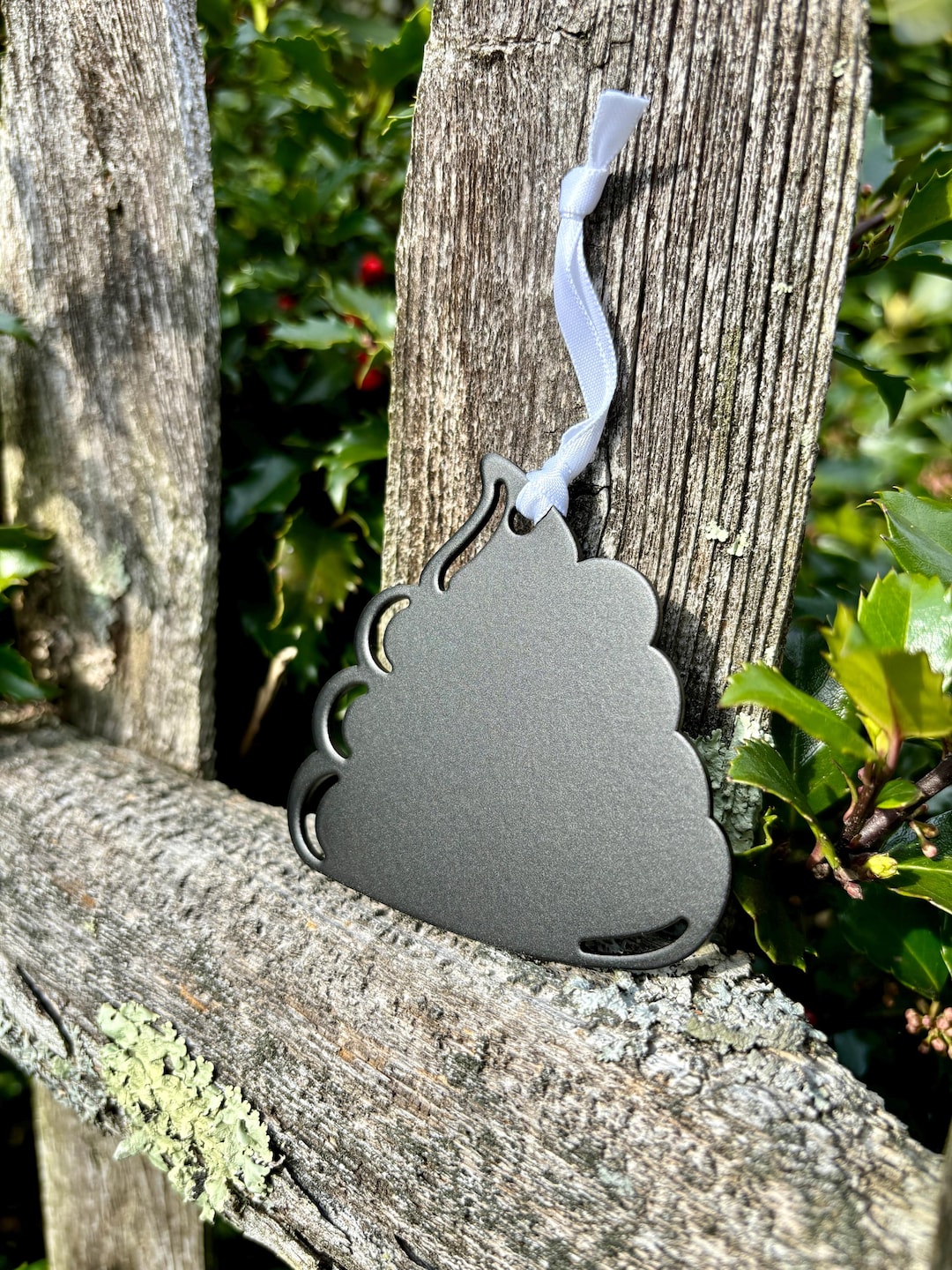 Personalized Poop Ornament, Custom Poop Christmas Gift, Crohns ...