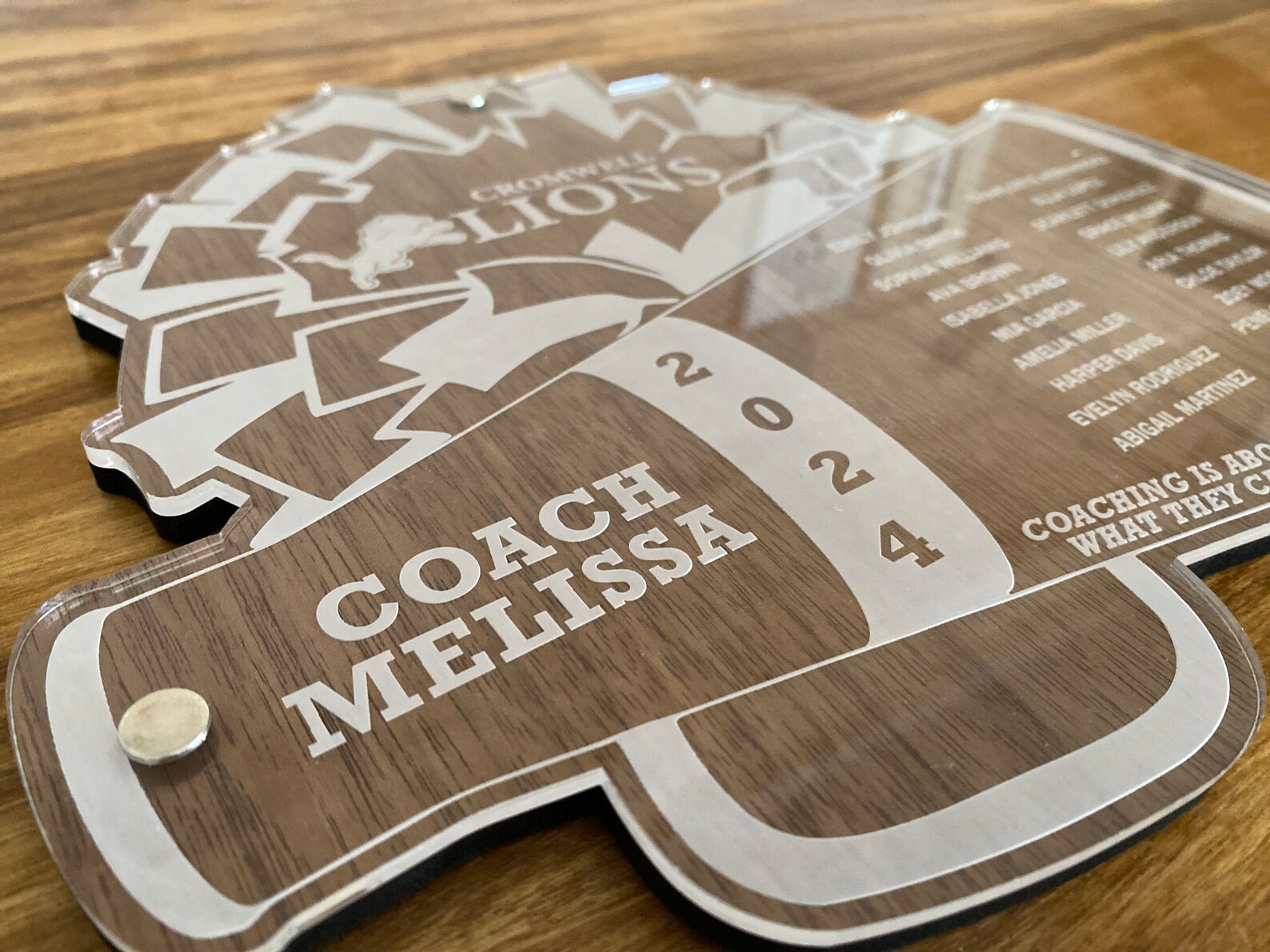 Personalized Wood Acrylic Cheer Coach Plaque, Gift for Coach, End of ...