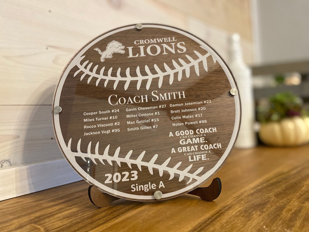 Custom Baseball Coach Gift Wood and Acrylic Plaque, A Good Coach Can ...