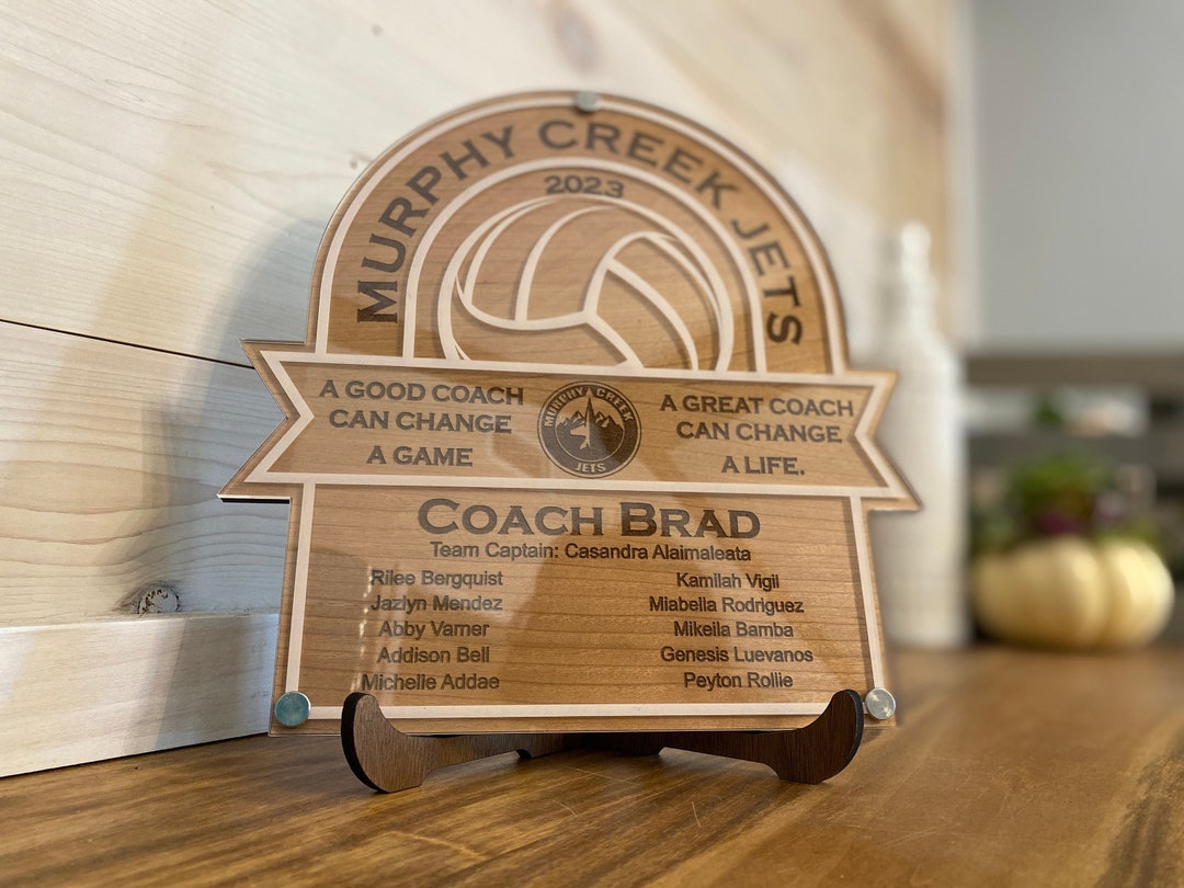 Custom Volleyball Coach Gift Wood and Acrylic Plaque, A Good Coach Can ...