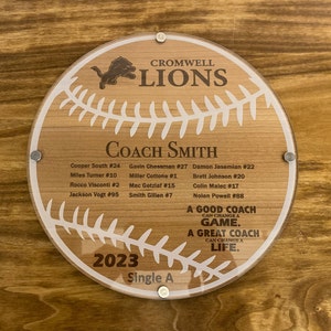 Custom Baseball Coach Gift Wood and Acrylic Plaque, A Good Coach Can ...