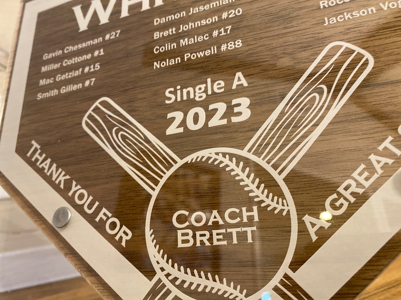 Custom Baseball Homeplate Coach Gift Wood and Acrylic Plaque, A Good ...