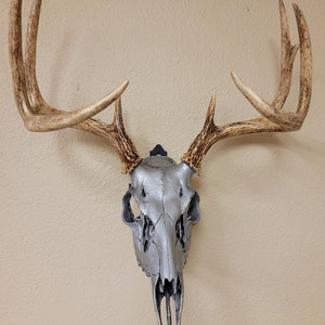 Silver Metalized Whitetail Deer Skull Mount, 9pt Buck Taxidermy - Etsy