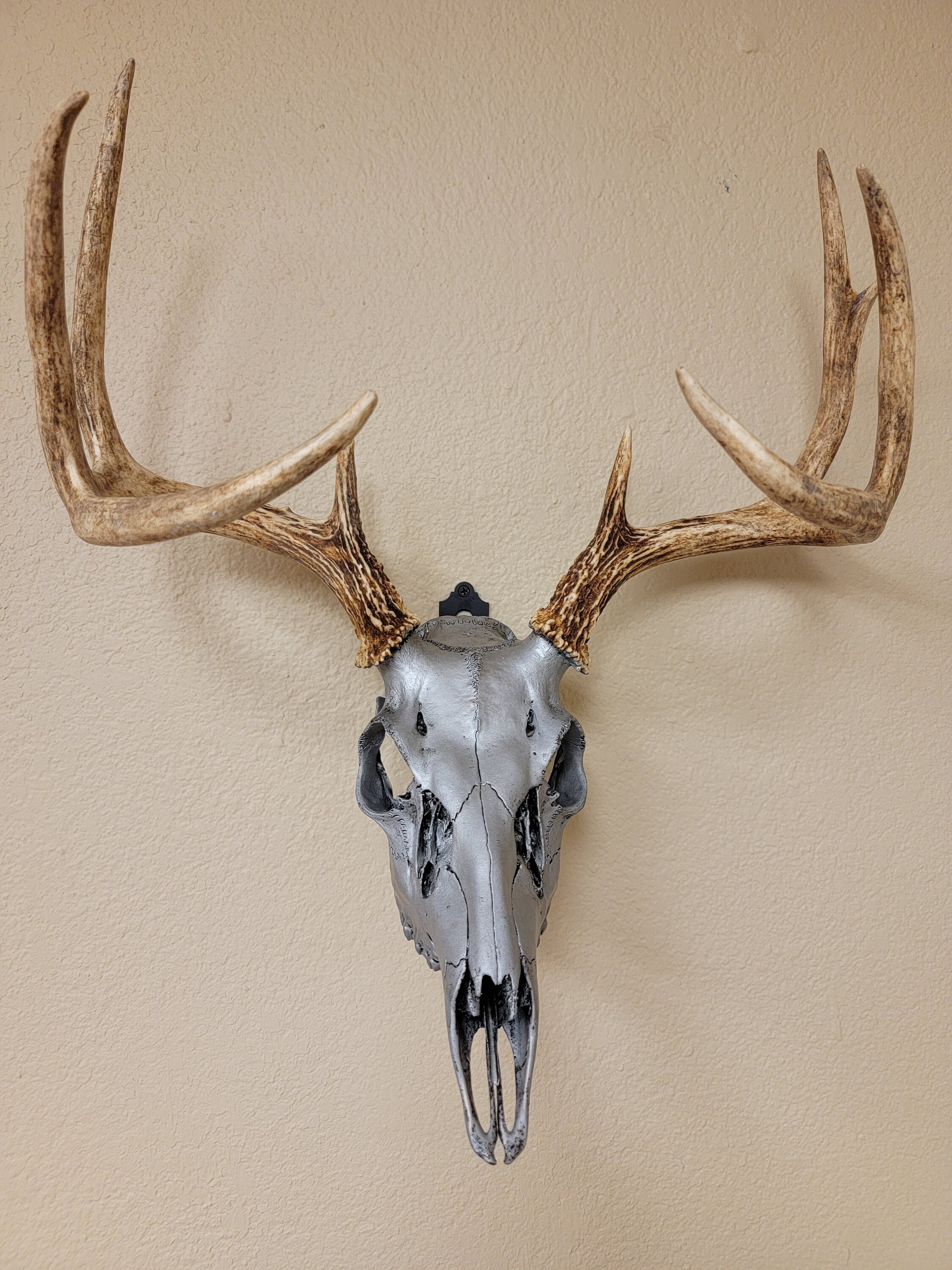 Silver Metalized Whitetail Deer Skull Mount, 9pt Buck Taxidermy - Etsy