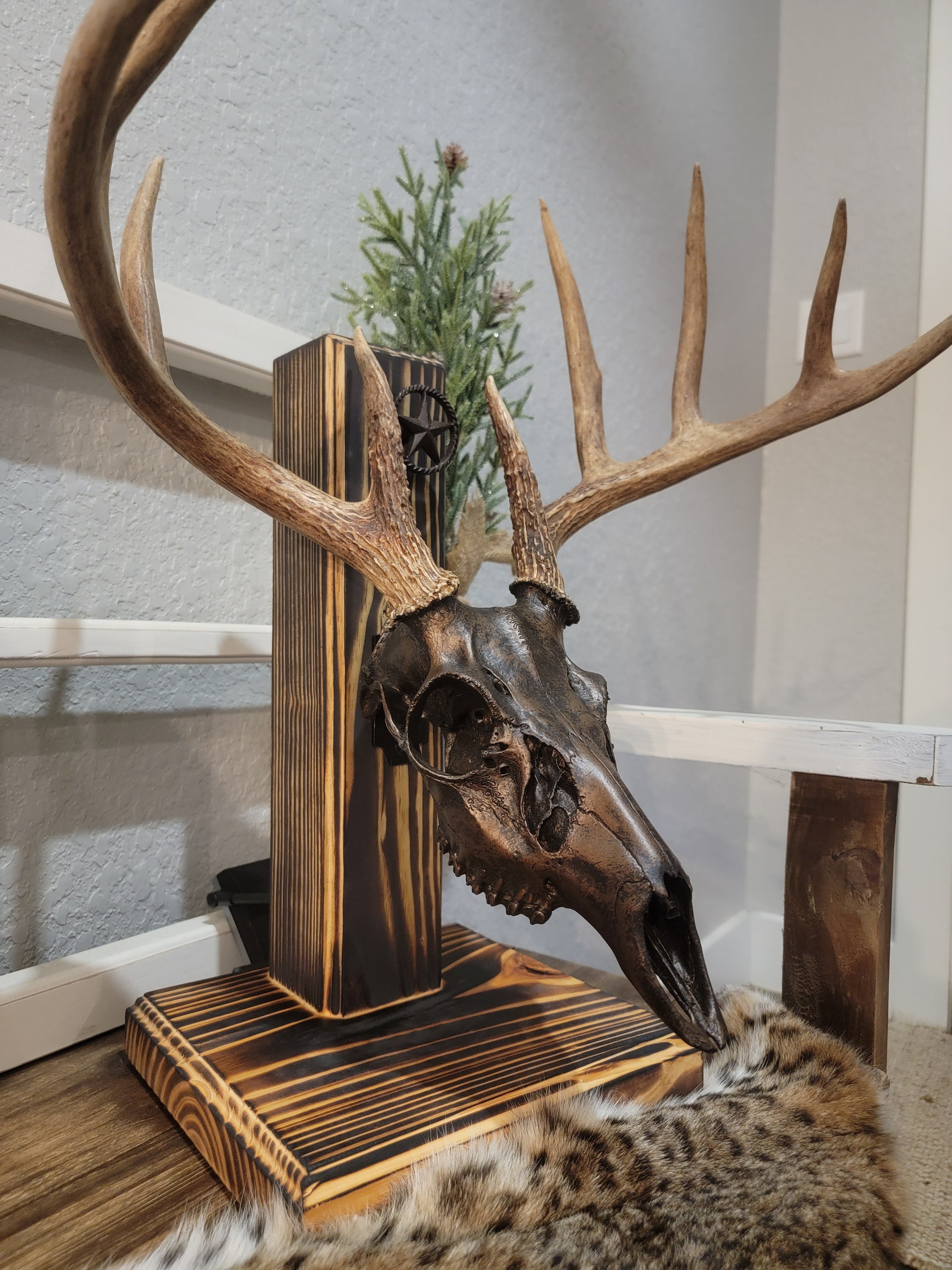 Custom Tabletop-desktop Pedestal/mount for European Mount - BURNT Wood ...