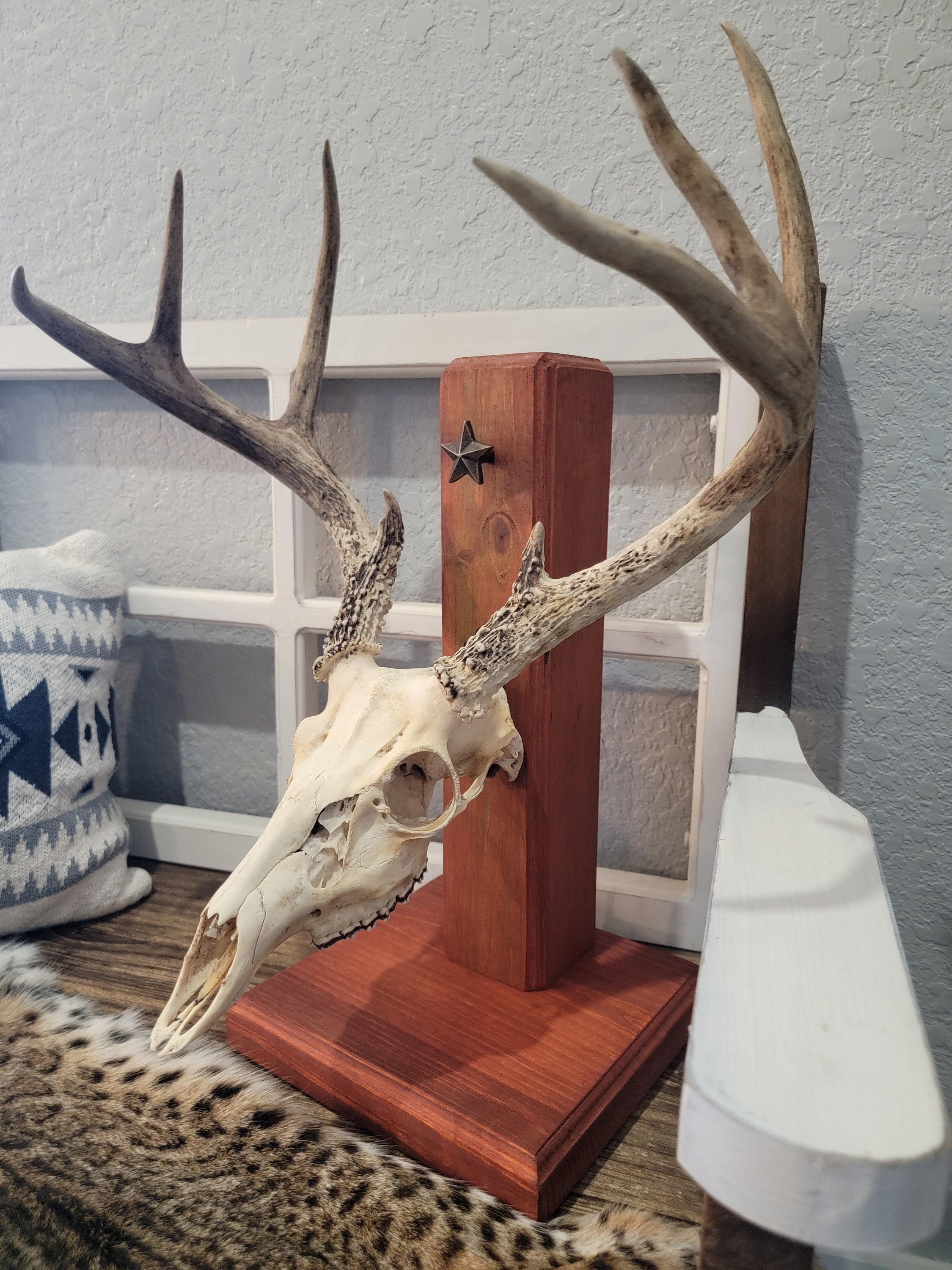 Custom Tabletop-desktop Pedestal/mount for European Mount - HONEY ...