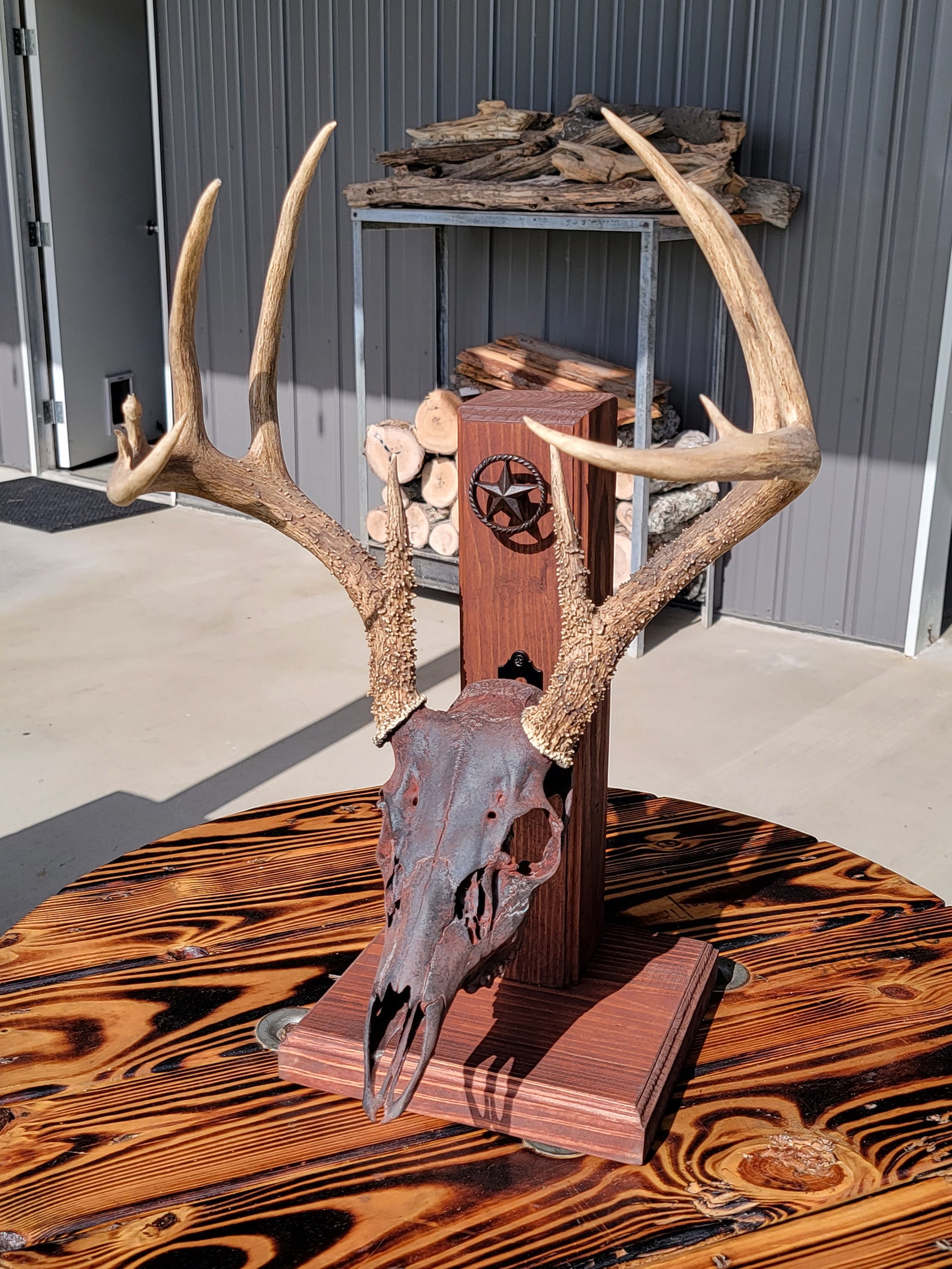 Custom Table Top Pedestal/mount for European Mount - Deer, Sheep ...