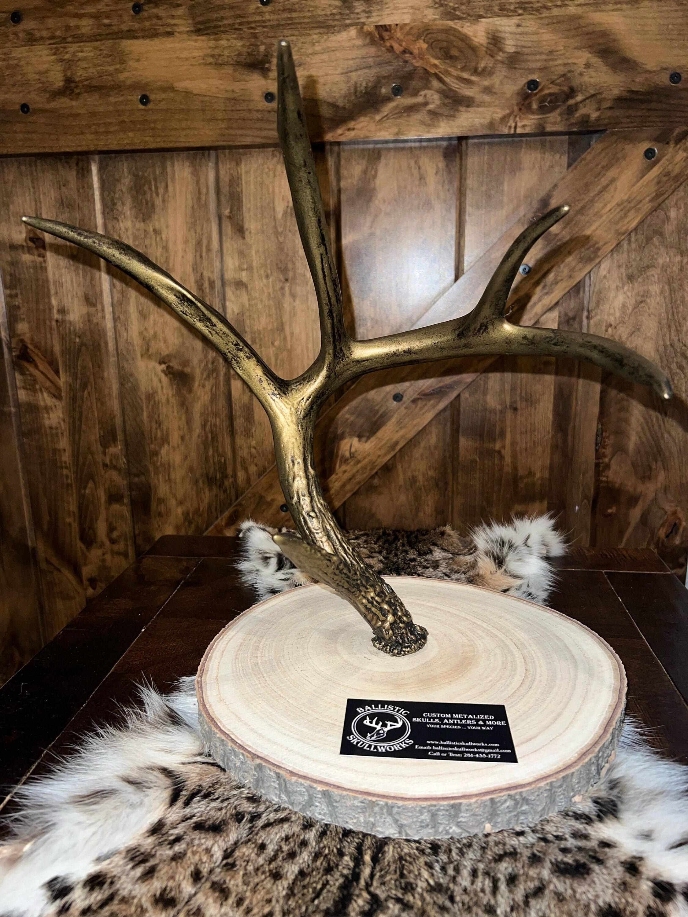 LARGE - Whitetail Deer Antler Jewelry Display / Holder - Custom ...