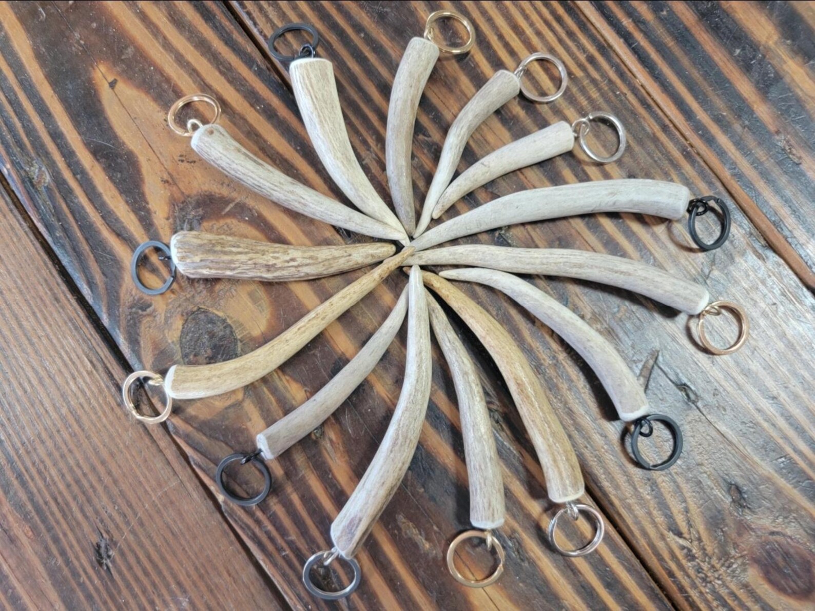 REAL Deer Antler Keychain. Texas Whitetail. Accessories - Etsy