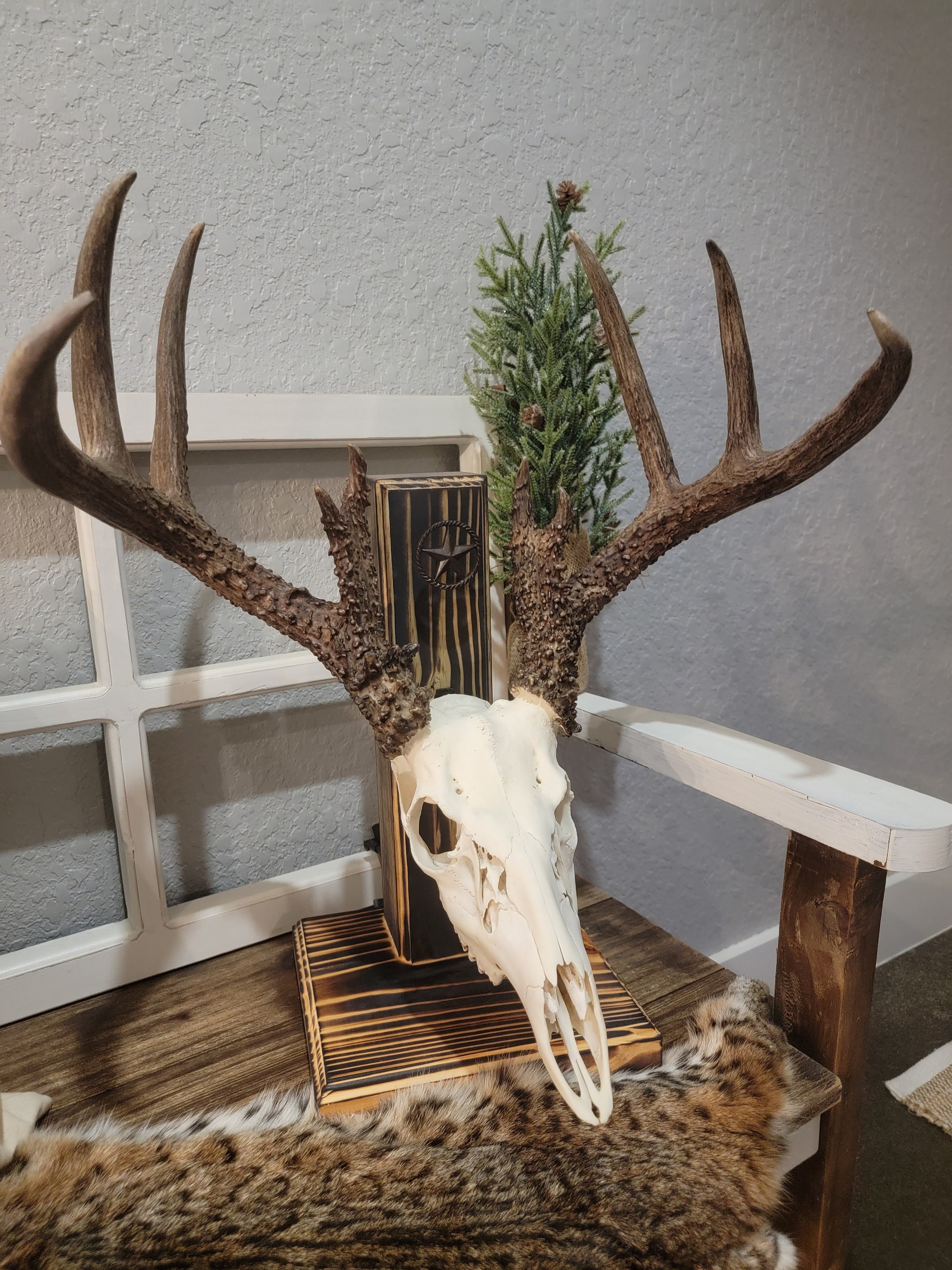 Custom Tabletop-desktop Pedestal/mount for European Mount - BURNT Wood ...