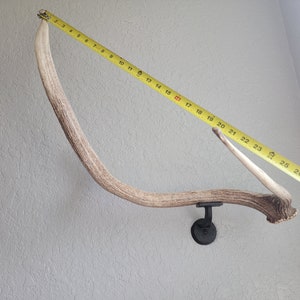 Custom Large Axis Deer Bladed Antler Towel Bar / Rack / Hanger . One-of ...
