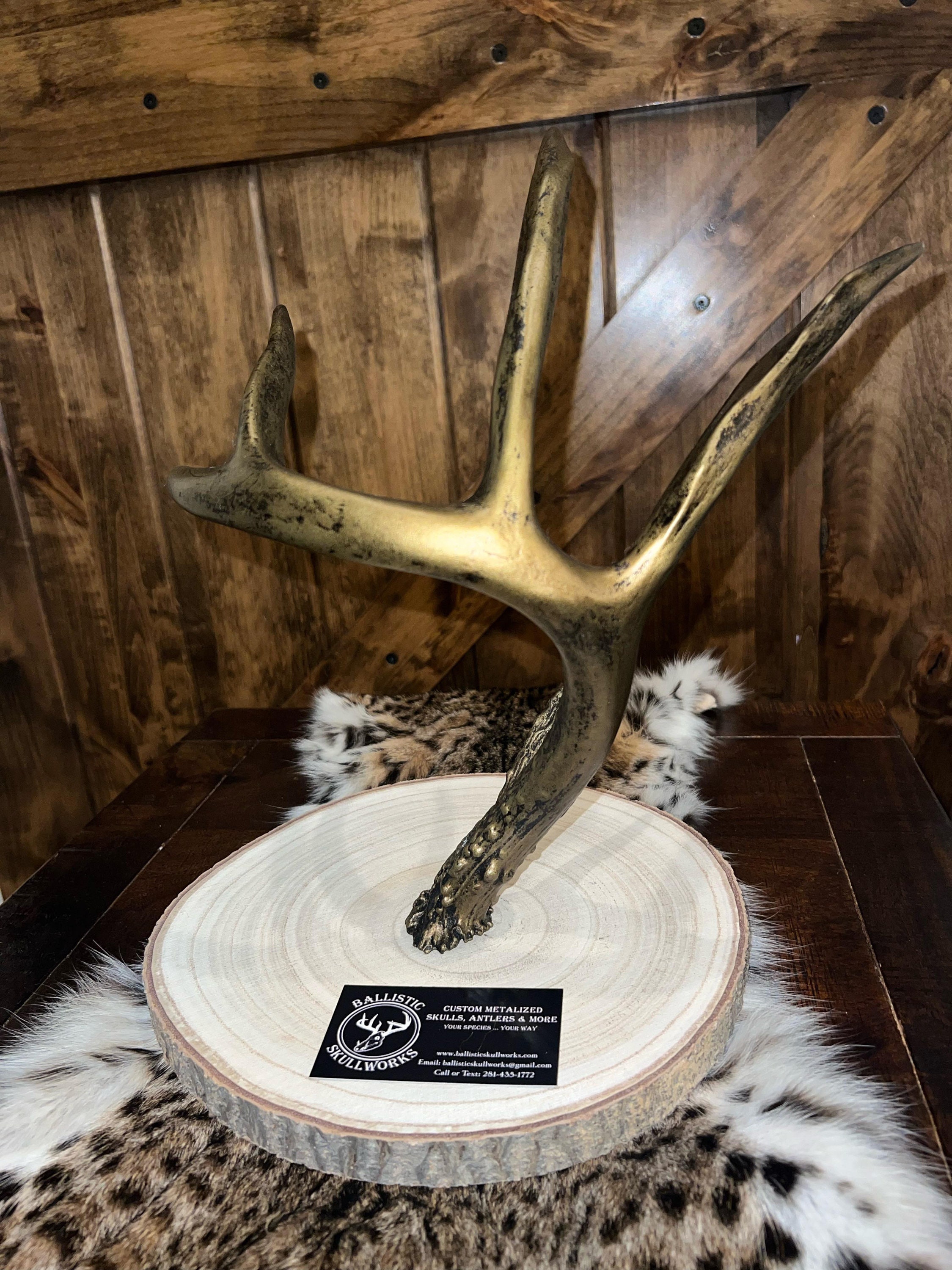 LARGE - Whitetail Deer Antler Jewelry Display / Holder - Custom ...