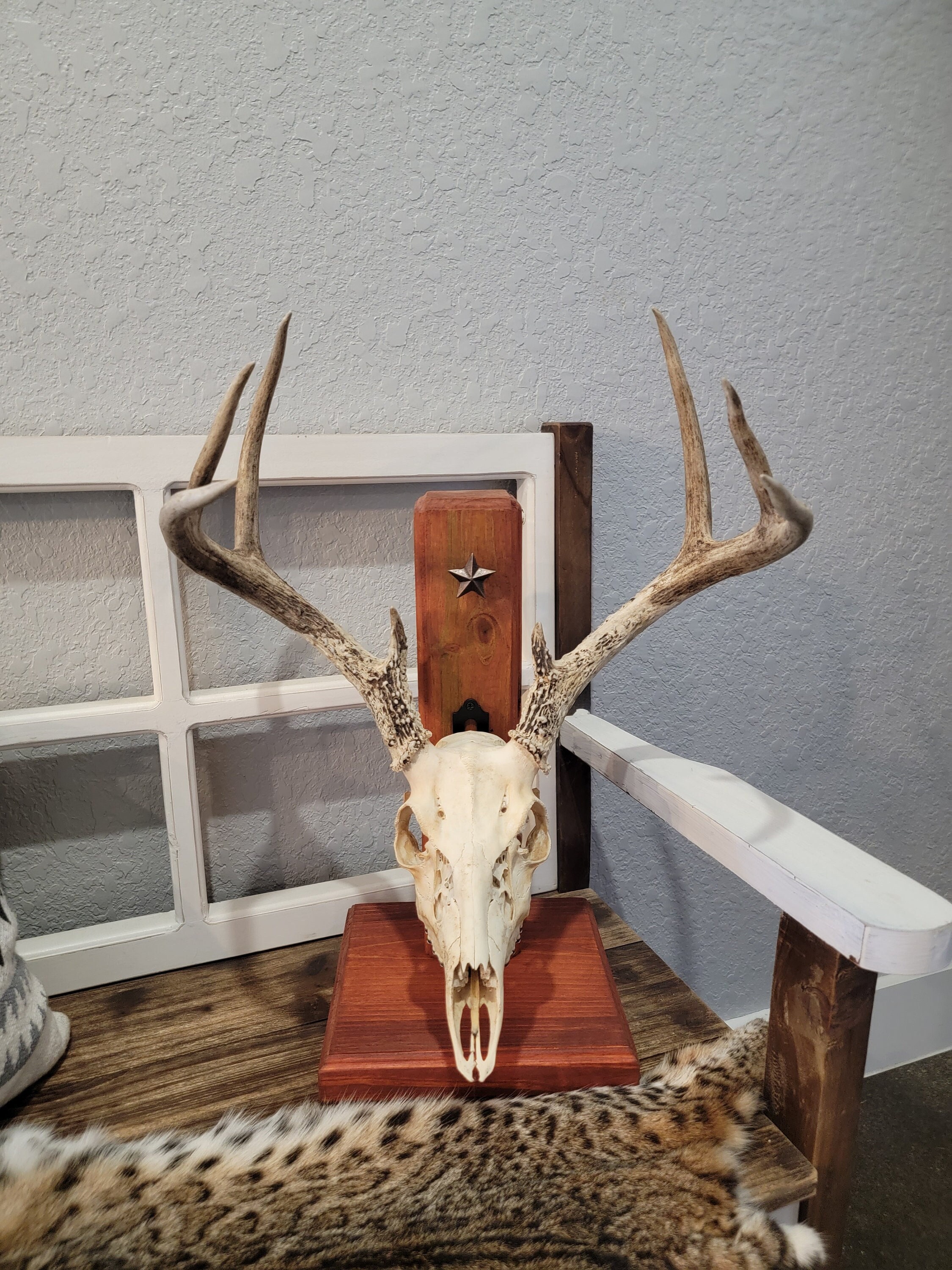 Custom Tabletop-desktop Pedestal/mount for European Mount - HONEY ...
