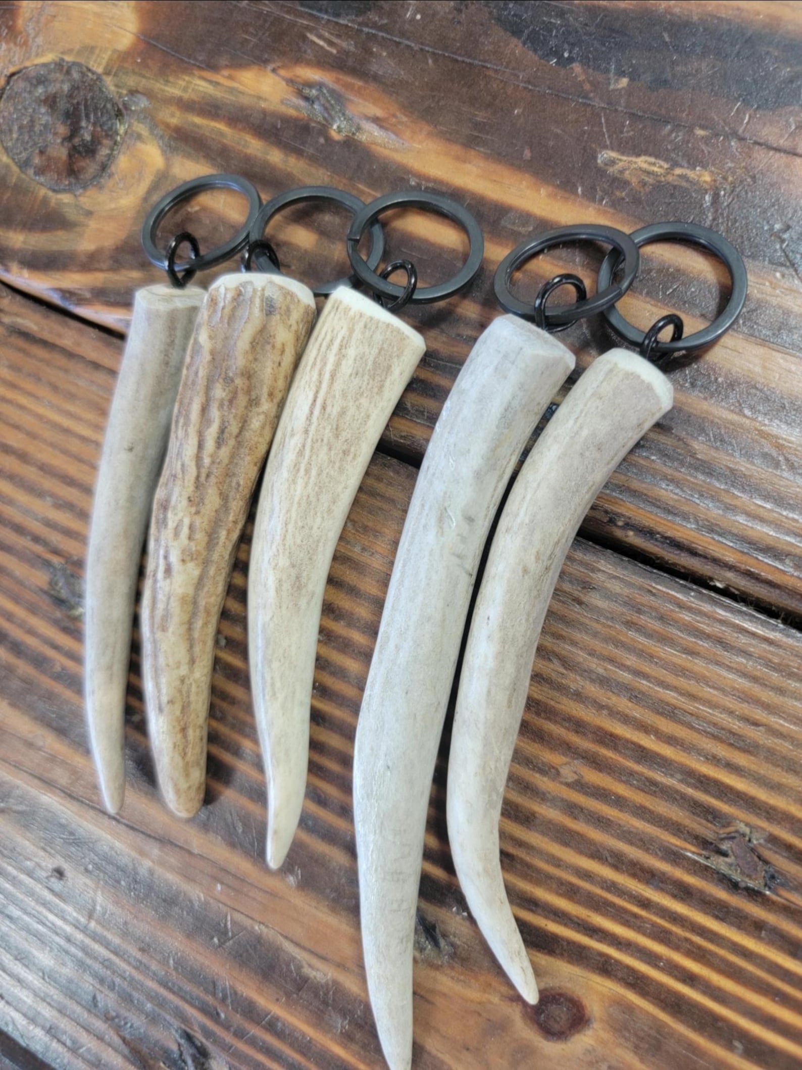 REAL Deer Antler Keychain. Texas Whitetail. Accessories - Etsy