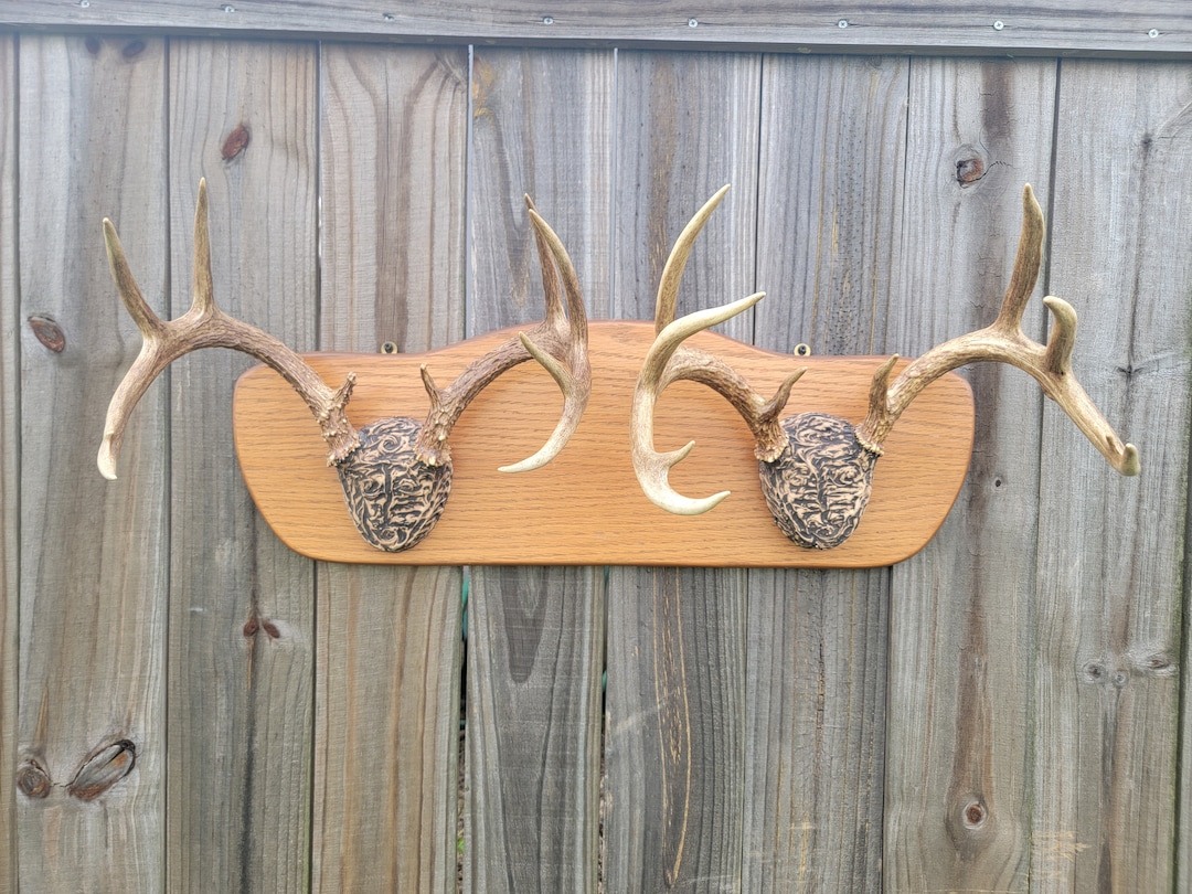 Dual Whitetail Deer 10 Point Antler Mounts on a Wooden Plaque ...