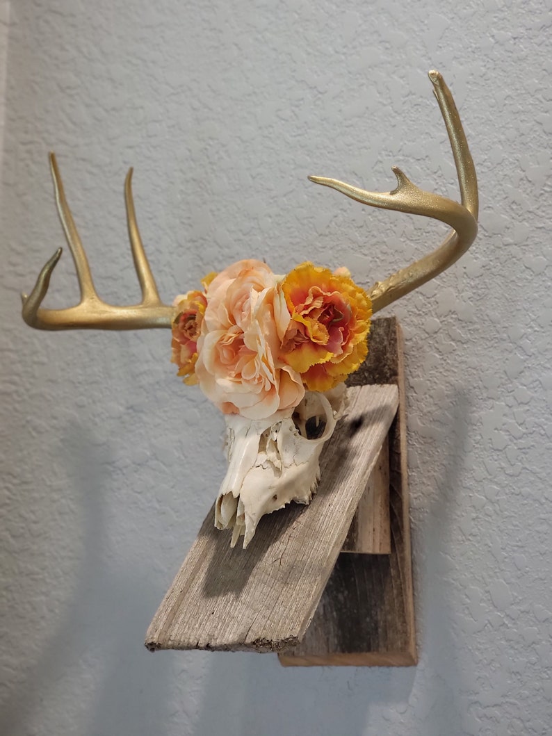 Rustic Cedar Skull Mount Plaque: Interchangeable European Mount Display ...