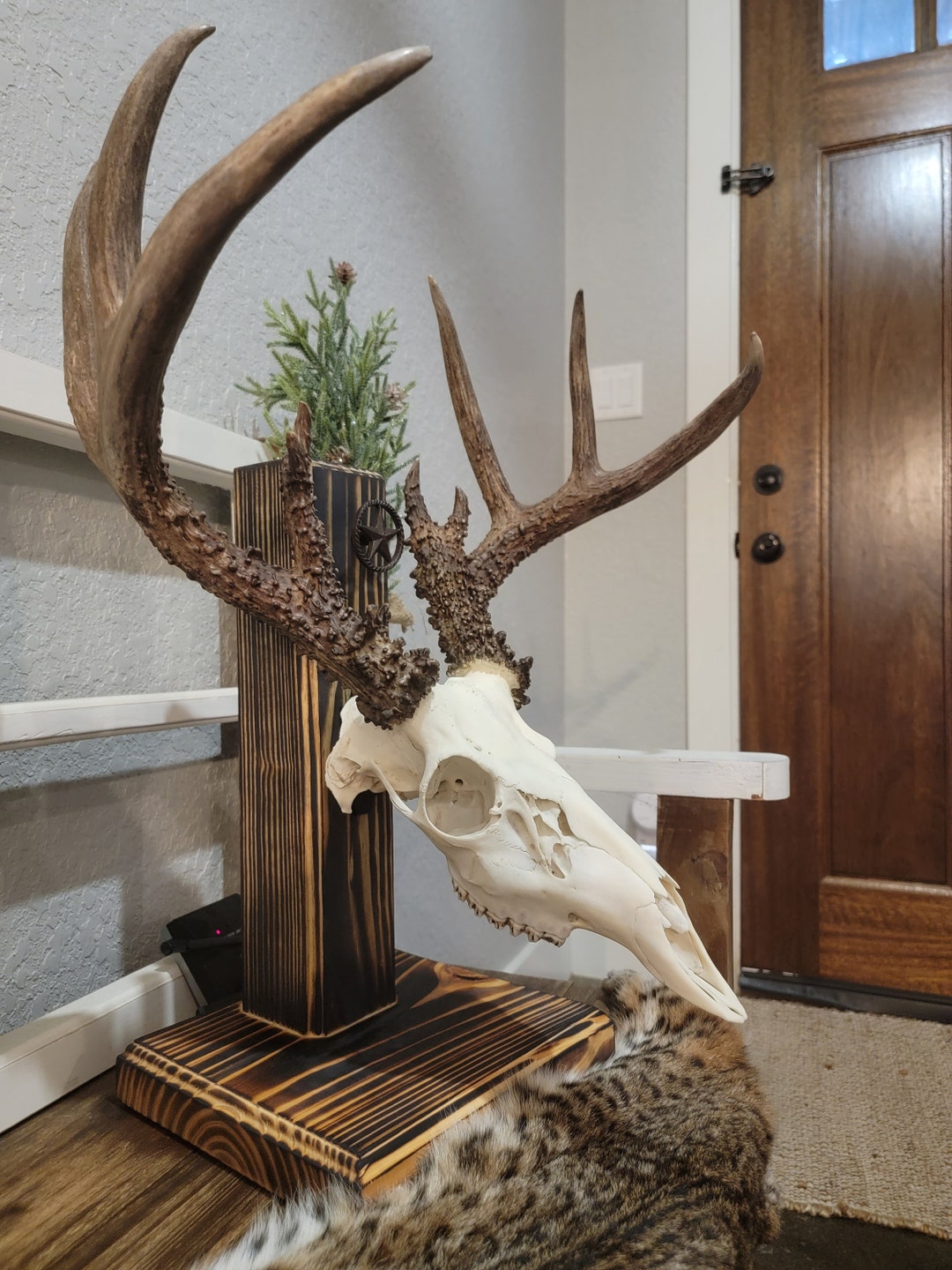 Custom Tabletop-desktop Pedestal/mount for European Mount - BURNT Wood ...