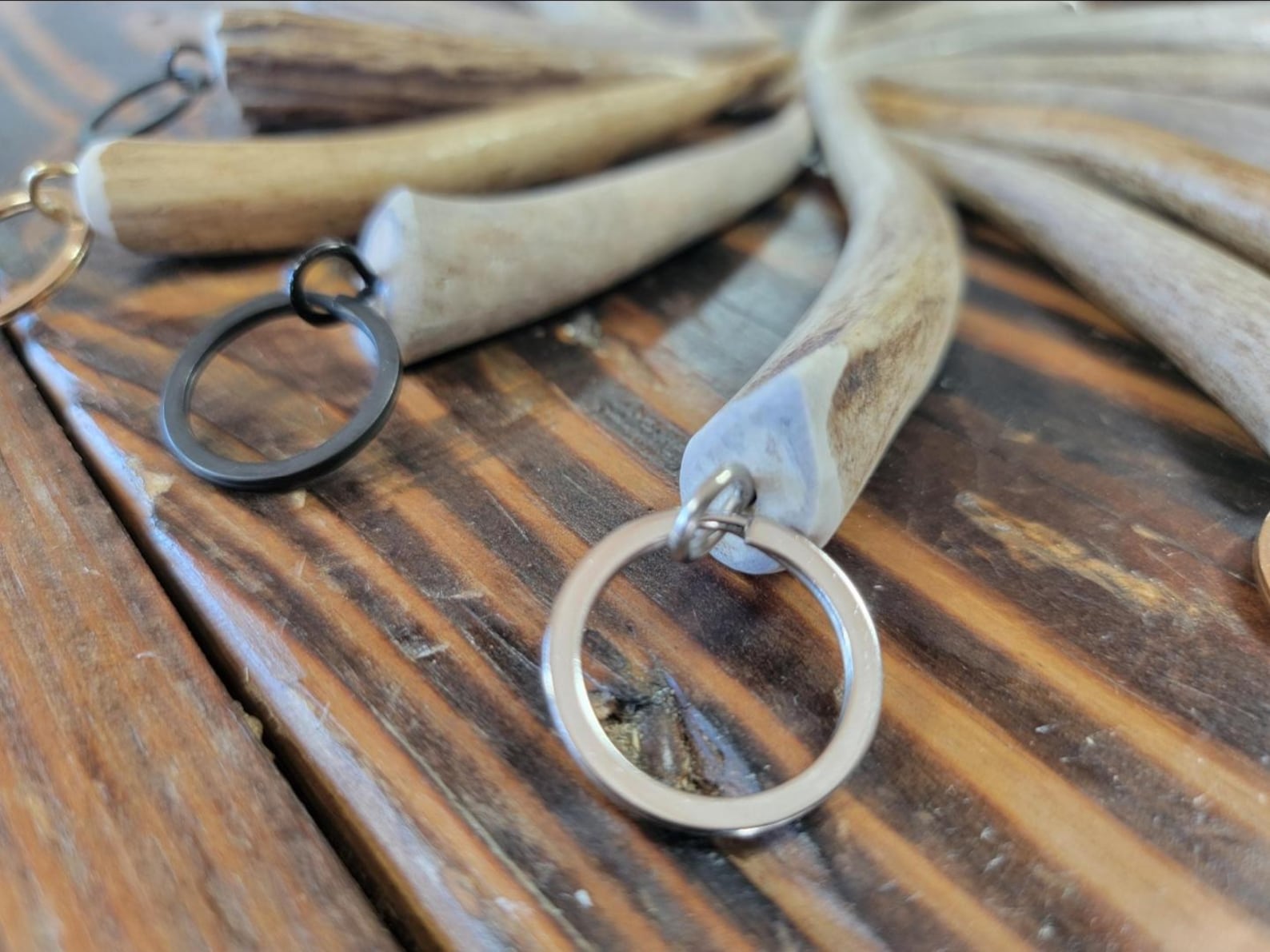 REAL Deer Antler Keychain. Texas Whitetail. Accessories - Etsy