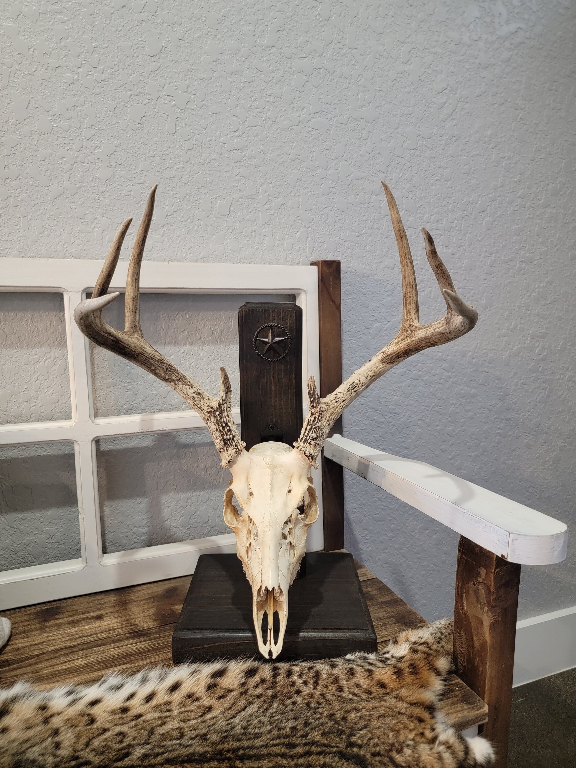 Custom Tabletop-desktop Pedestal/mount for European Mount JACOBEAN Deer ...
