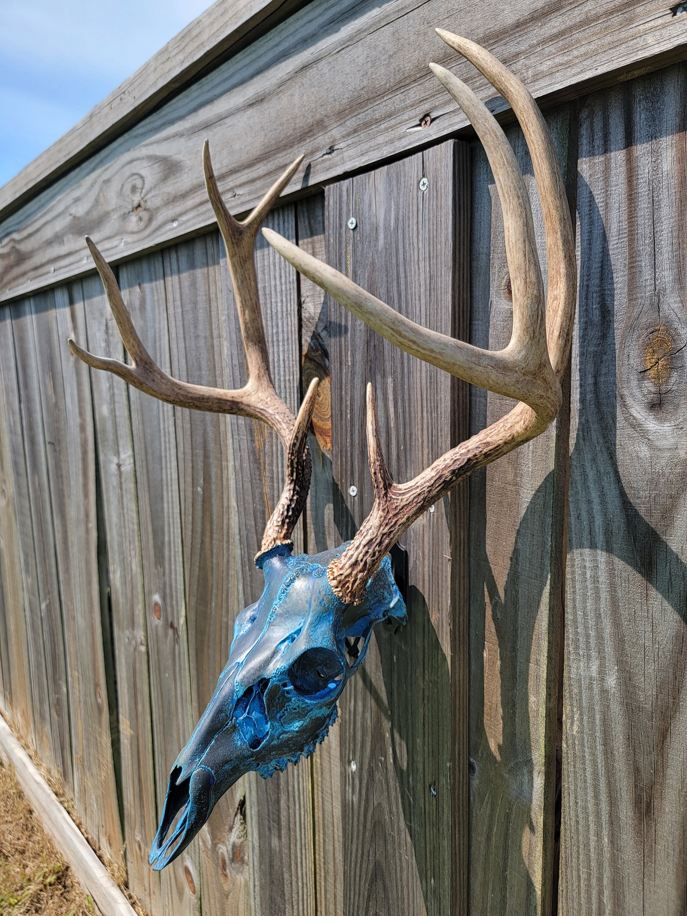 Gorgeous 9 Point Bronzed & Blue Patina Whitetail Deer Metalized ...
