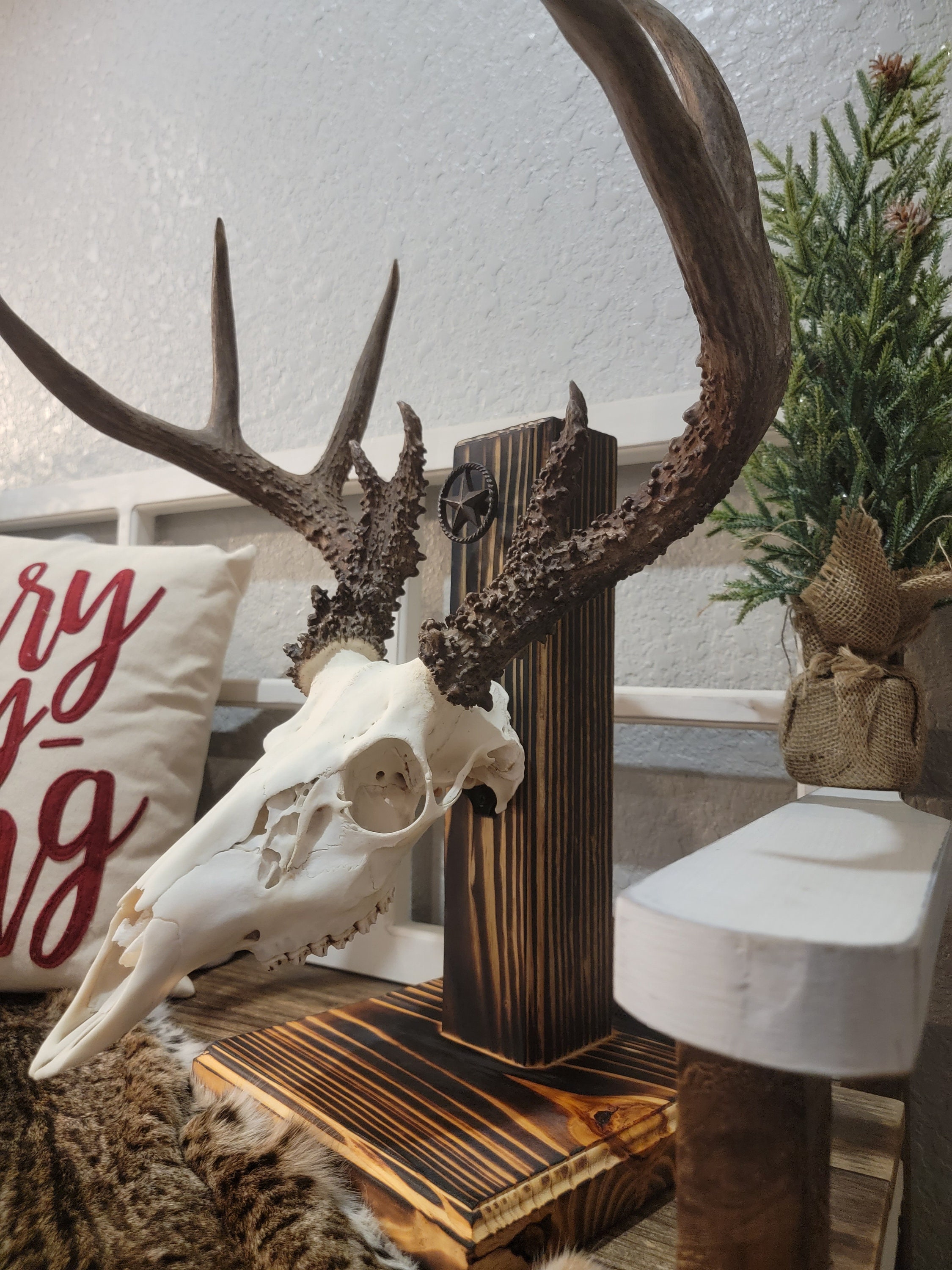 Custom Tabletop-desktop Pedestal/mount for European Mount - BURNT Wood ...