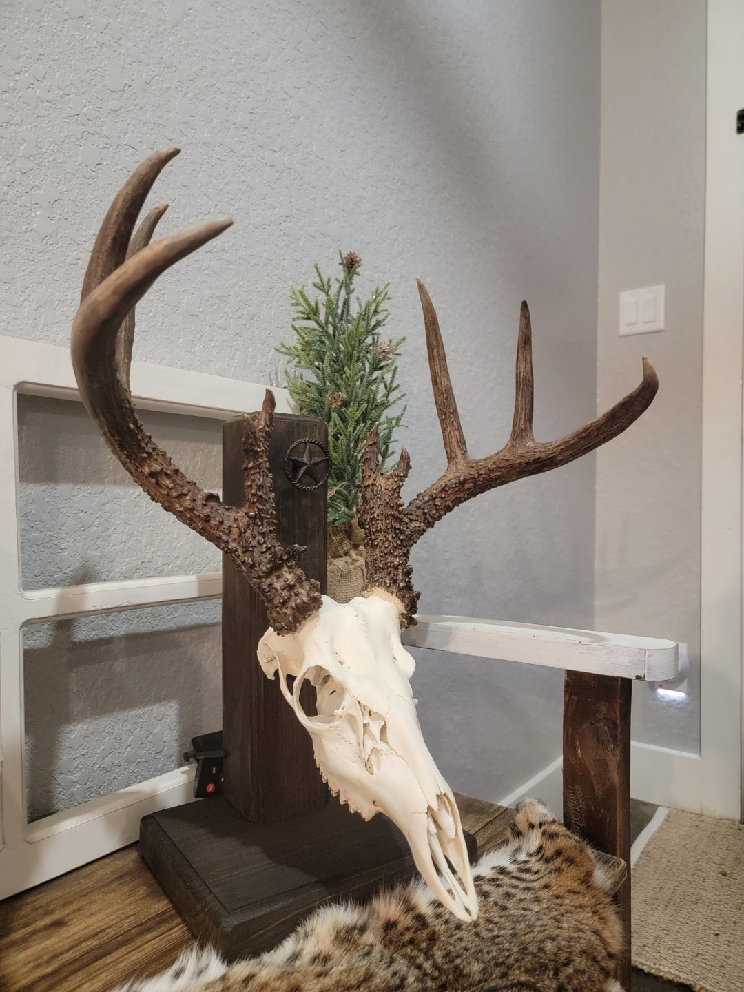 Custom Tabletop-desktop Pedestal/mount for European Mount JACOBEAN Deer ...