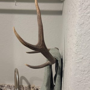 Custom 30 Stag Antler Towel Bar / Rack / Hanger . Unique Gorgeous ...