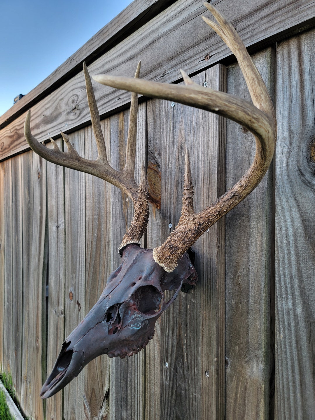 One-of-a-kind 12 Point Rusted/oxidized Bronzed Whitetail Deer Metalized ...